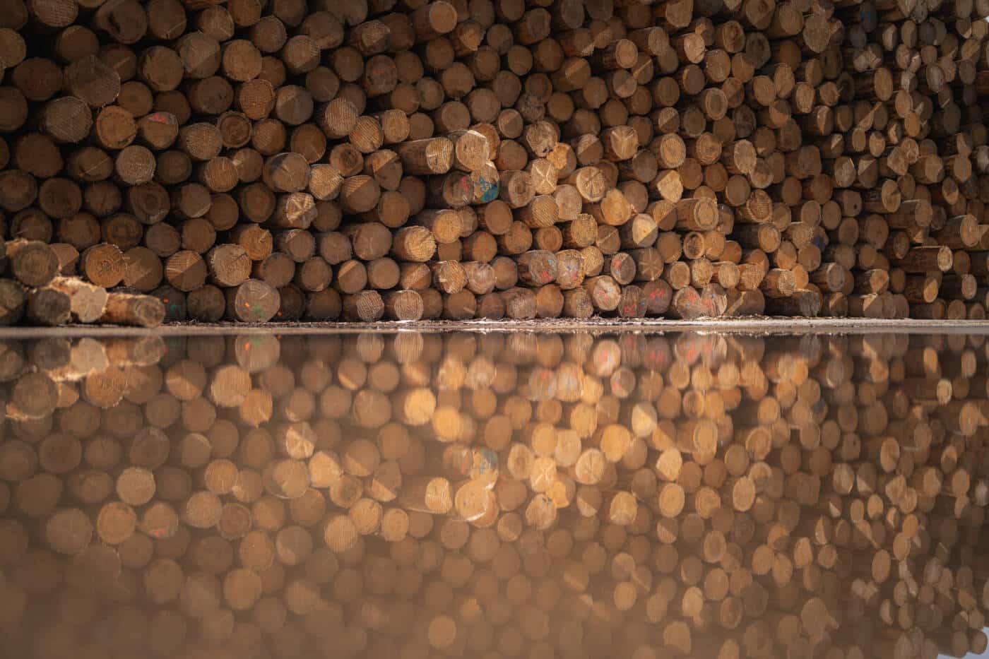 Découvrir Scierie Chauvin & Jura Pellets, adhérent Made in Jura